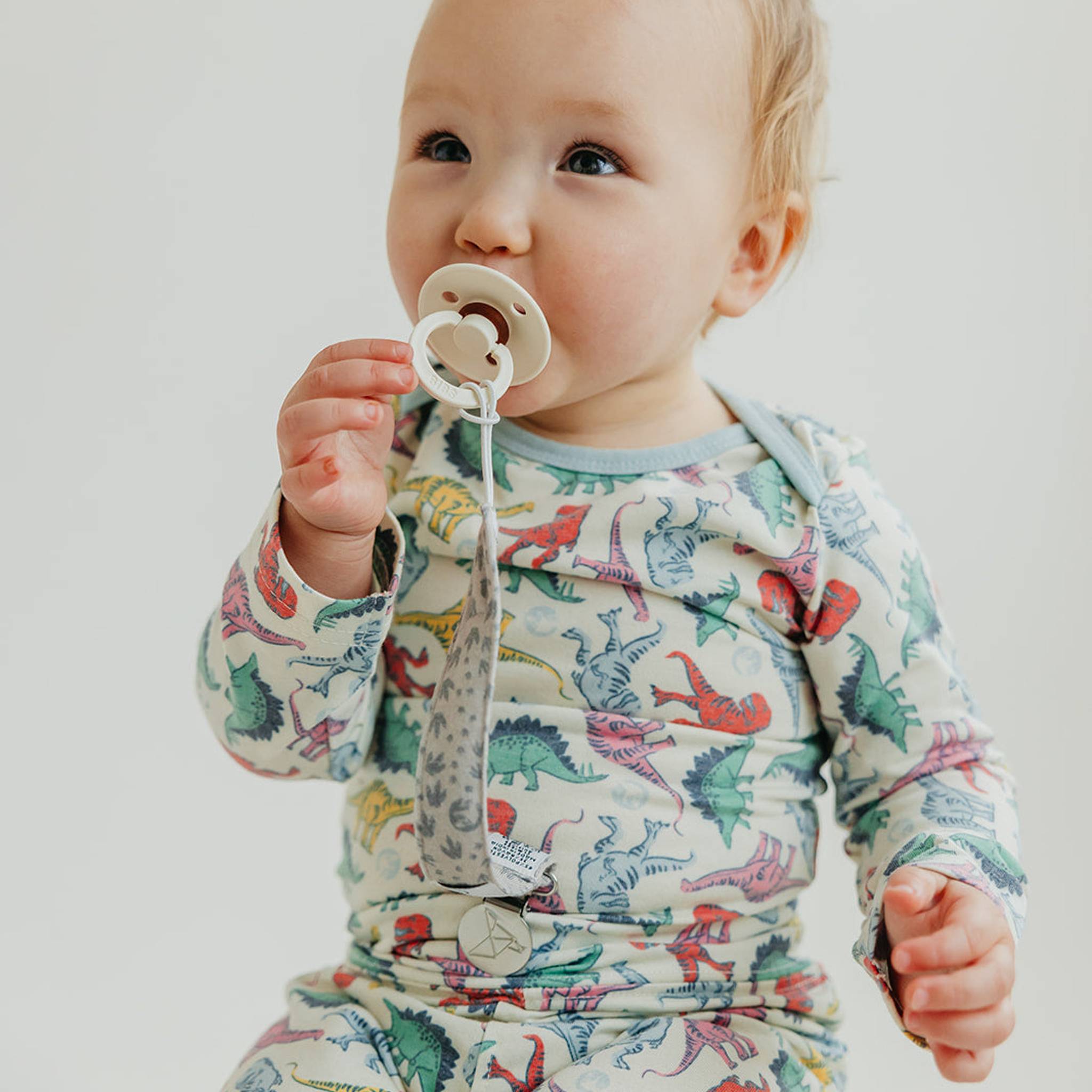 Binky Clips - Jurassic Park – Copper Pearl